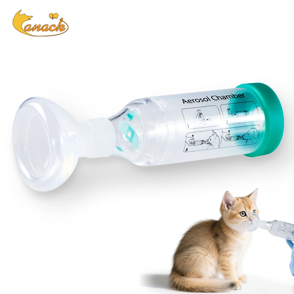 Chamber Cat: The Essential Veterinary Tool for Managing Feline ...