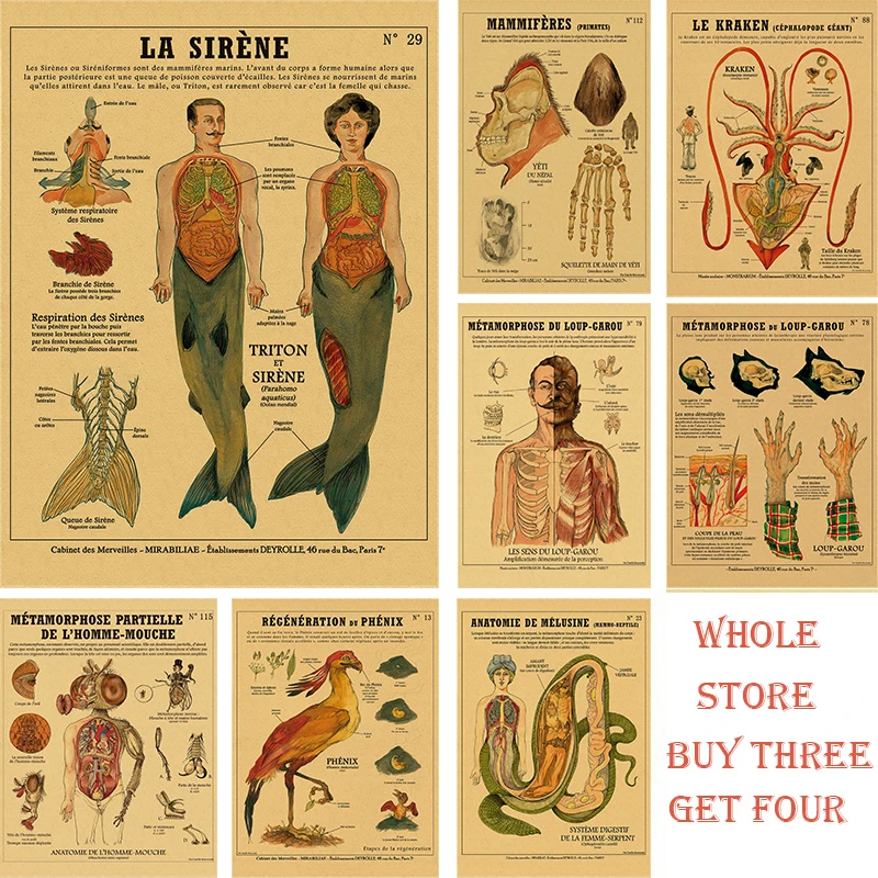 Anatomy-Vintage-Poster-Vintage-Herbal-Print-DIY-Medicinal-Plant-Flower ...