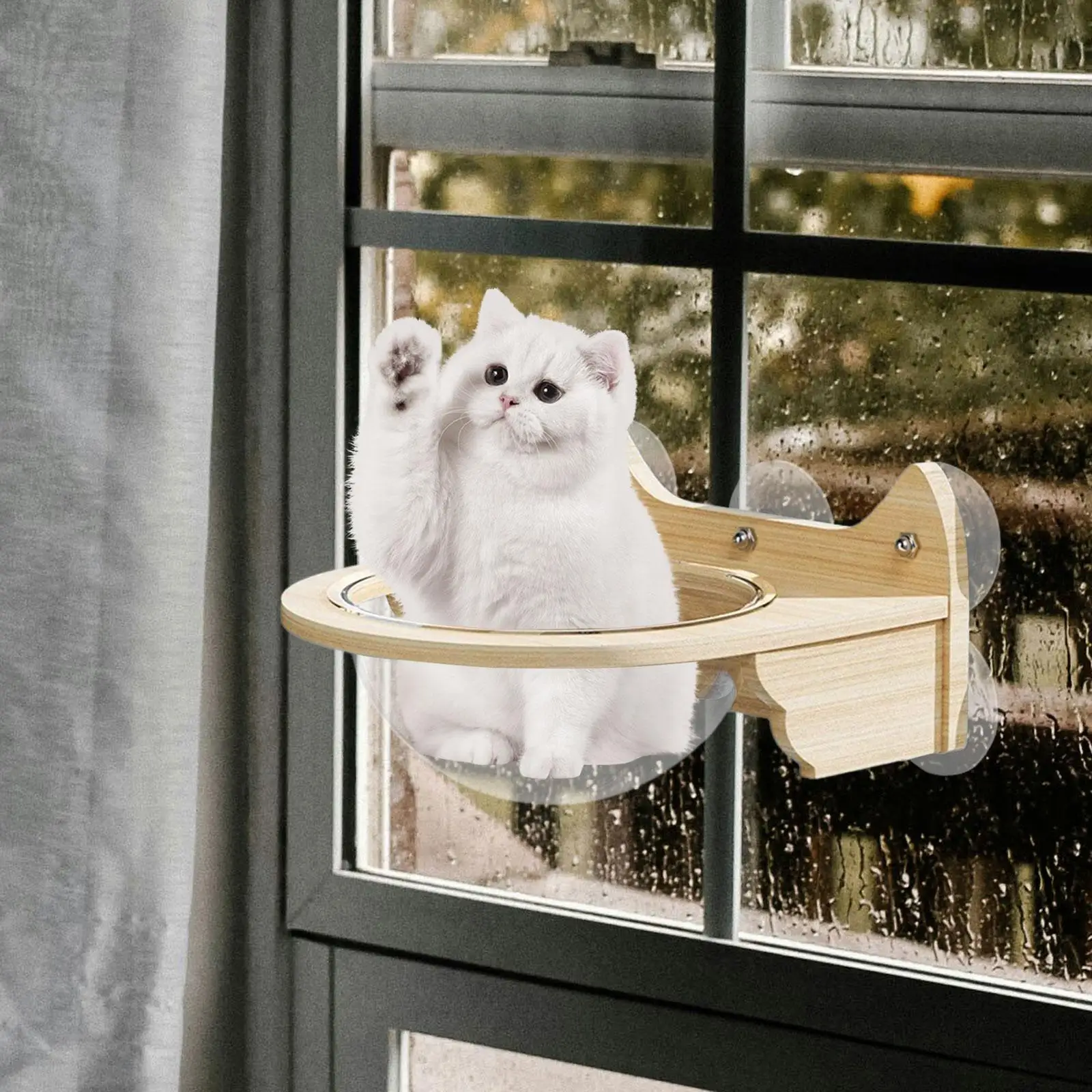 Cat Wall Bed Space Capsule Bed Cat Climbing Frame Hanging Lounge Cat ...
