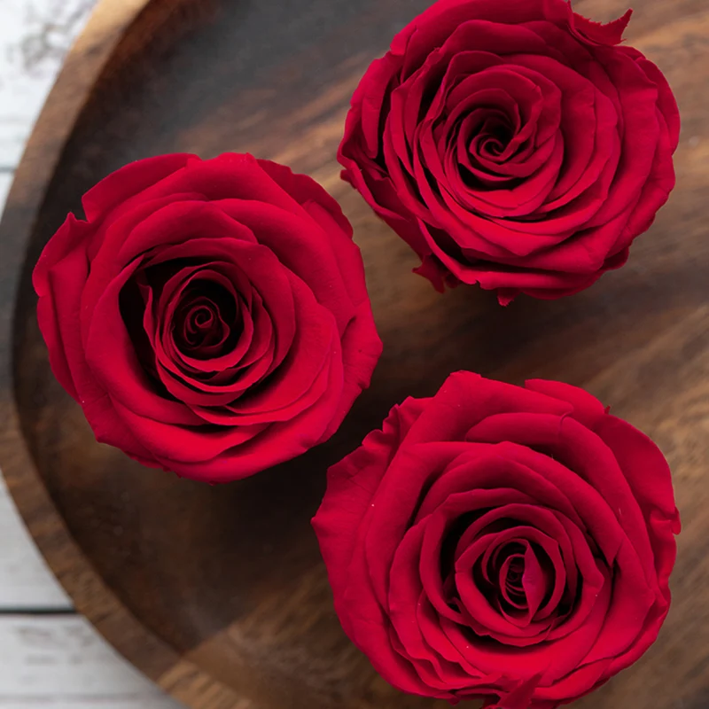 Fresh Rose Flowers