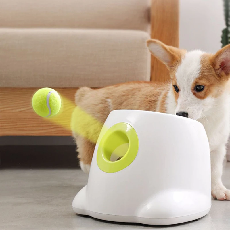 Catapult-For-Dogs-Ball-Launcher-Dog-Toy-Tennis-Ball-Launcher-Jumping ...