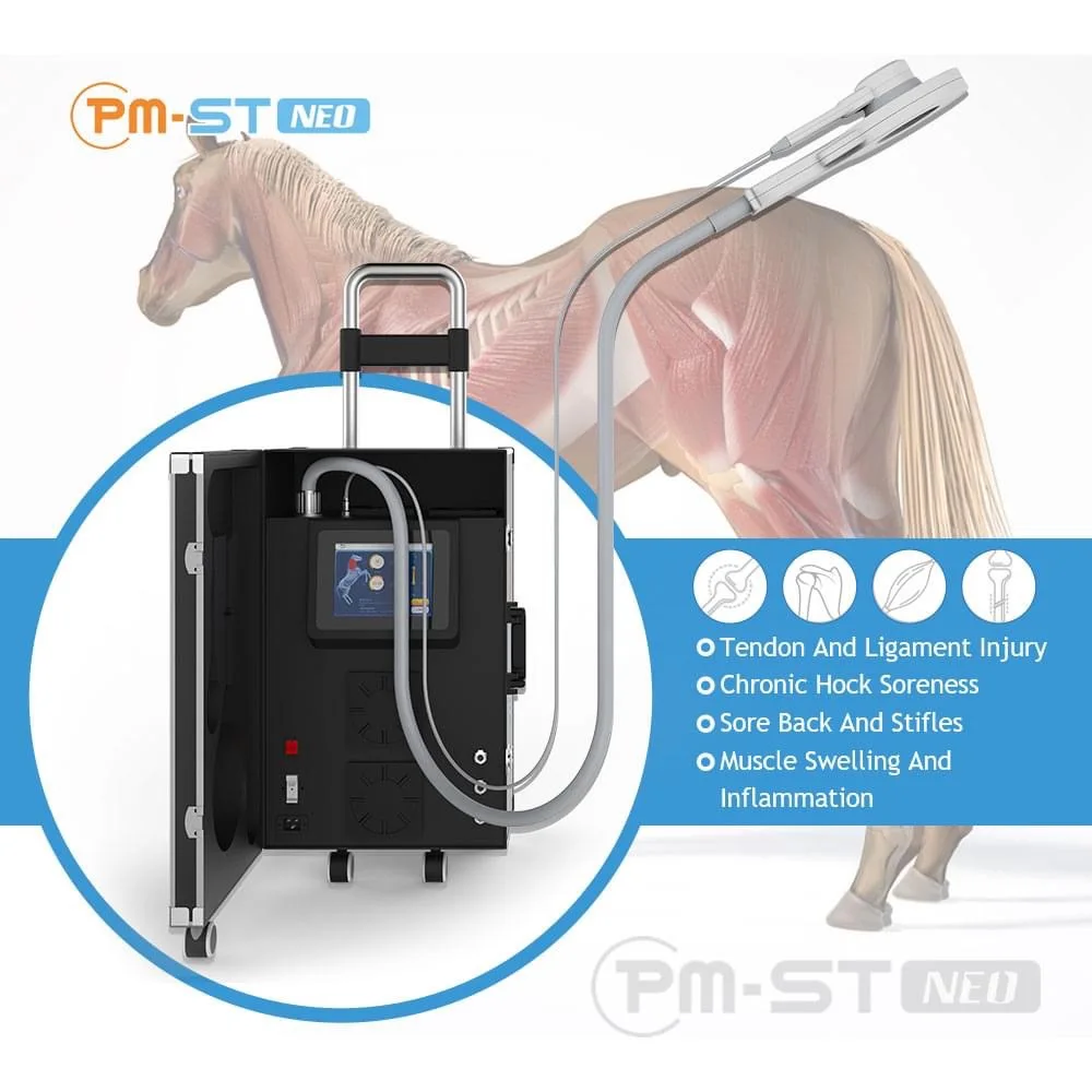 PEMF-Equine-Therapy-Magnetic-Feild-With-Infread-Hofmag-Horse ...