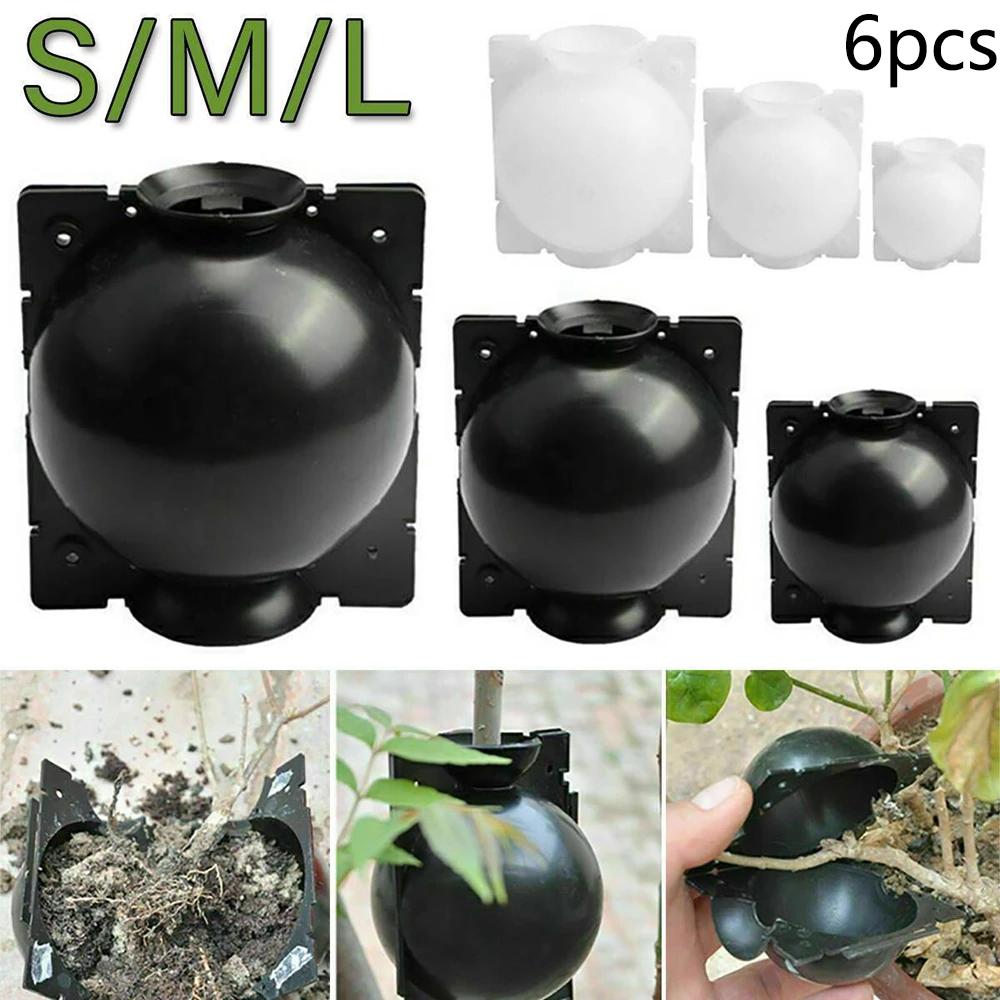 6pcs 5/8/12cm Plant Rooting Ball Grafting Rooting Growing Box Breeding ...