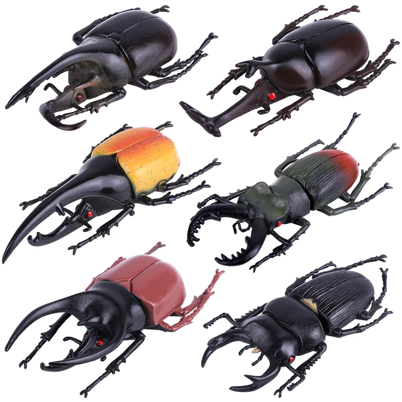 Realistic-Insect-Models-Simulation-Beetle-Model-Jokes-Toy-Educational ...