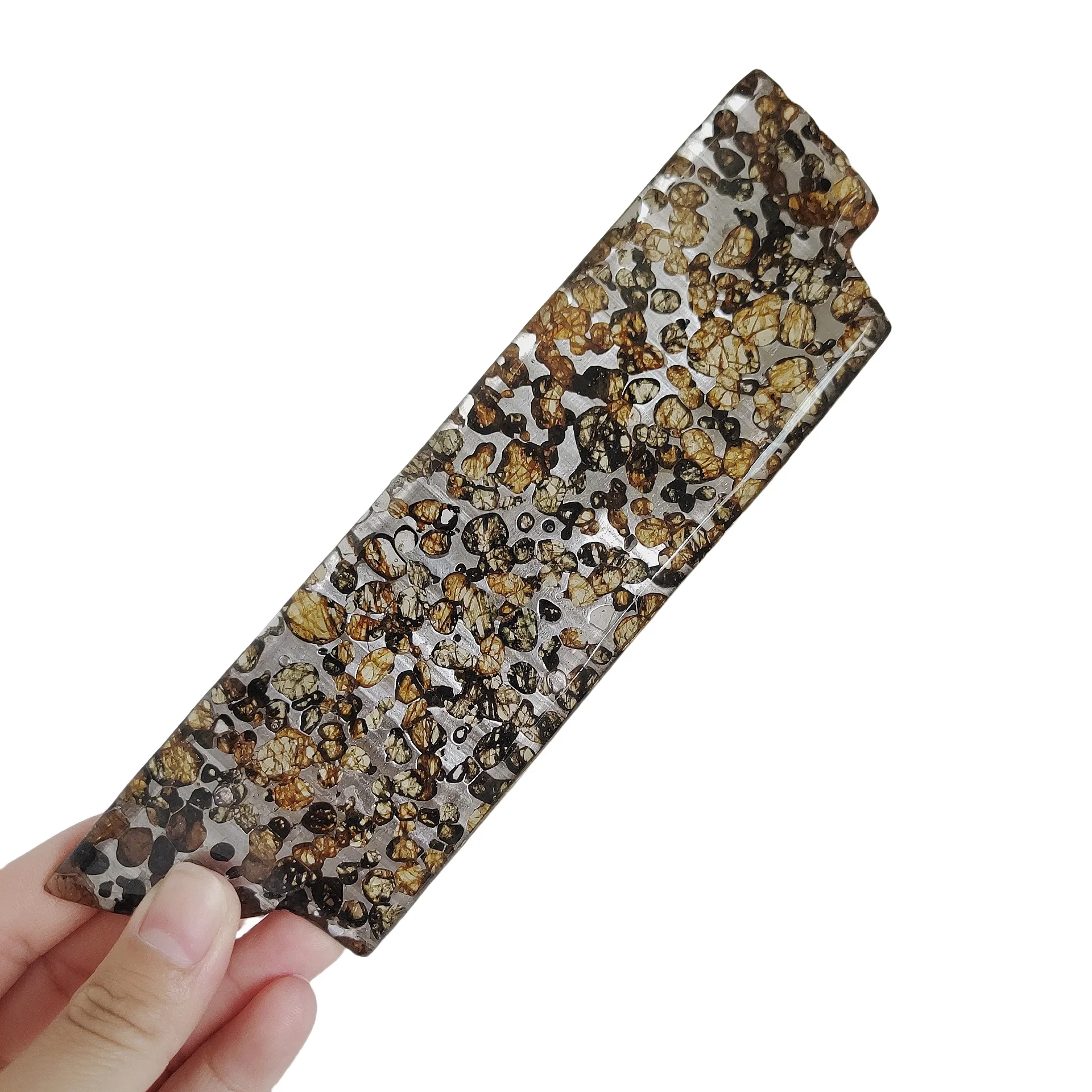 103-7g-Seymchan-Pallasite-Olive-Meteorite-Slices-Specimen-Natural ...