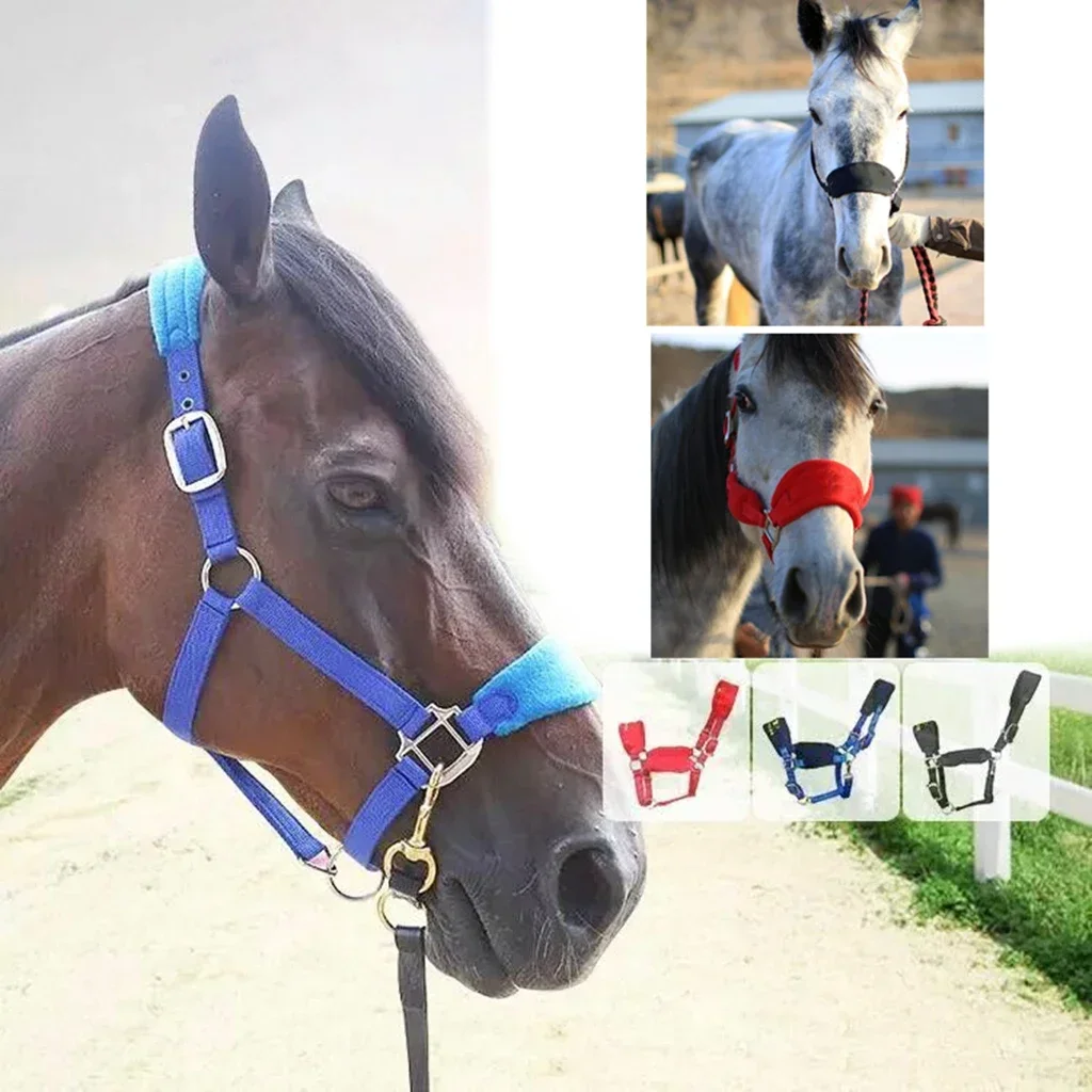 Soft-Padded-Pony-Horse-Halter-Bridle-Headstall-Head-Collar-Horse-Riding ...