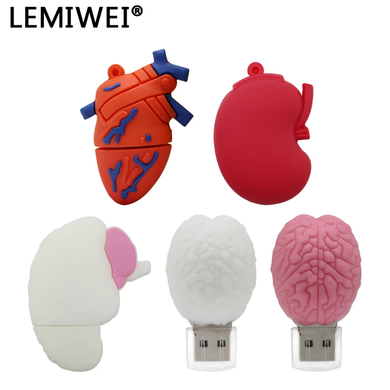 Cartoon Human Organs USB Flash Drive Lung Heart Stomach Brain Doctor ...