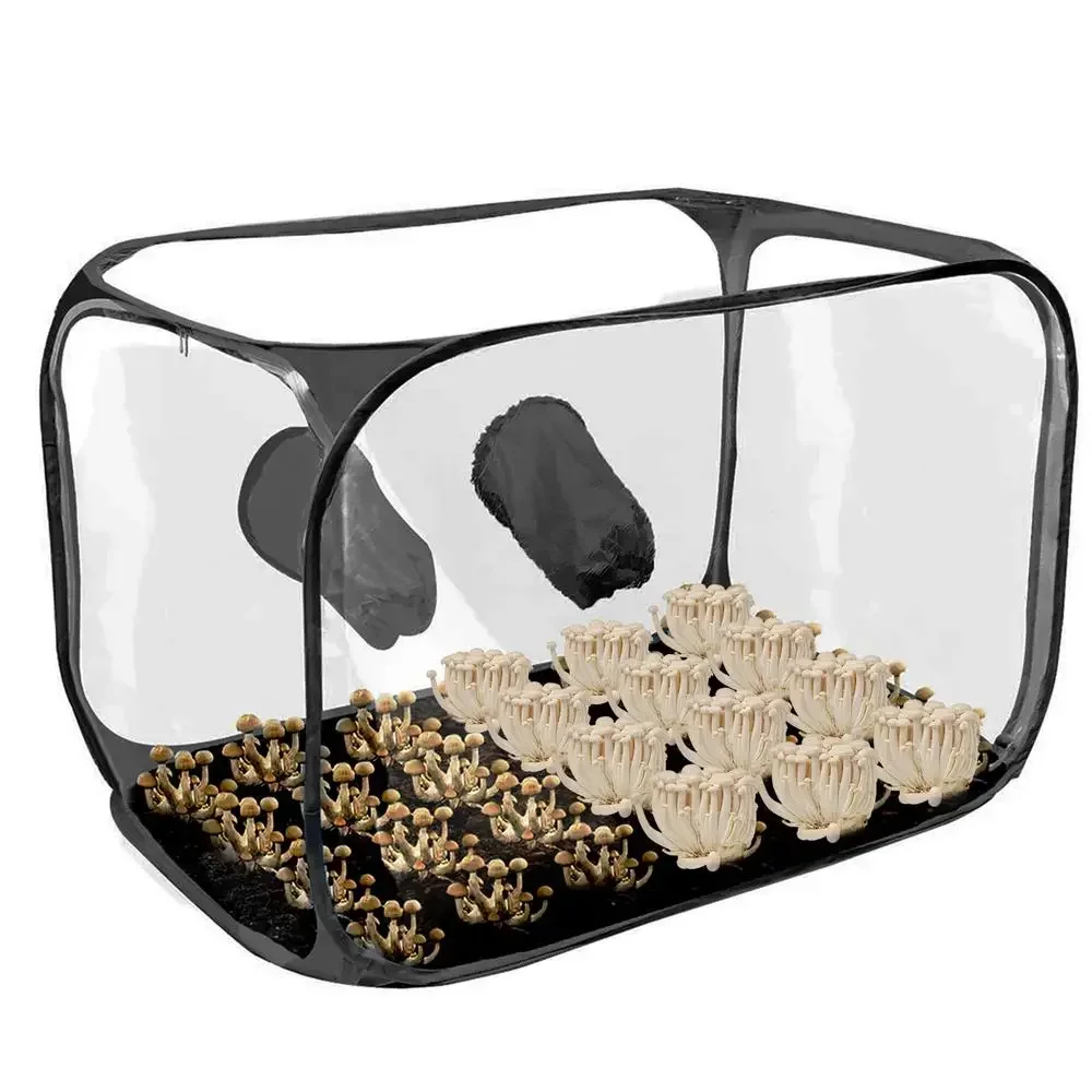 Caja-de-aire-grande-para-cultivo-de-setas-Kit-plegable-para-cultivo-de ...