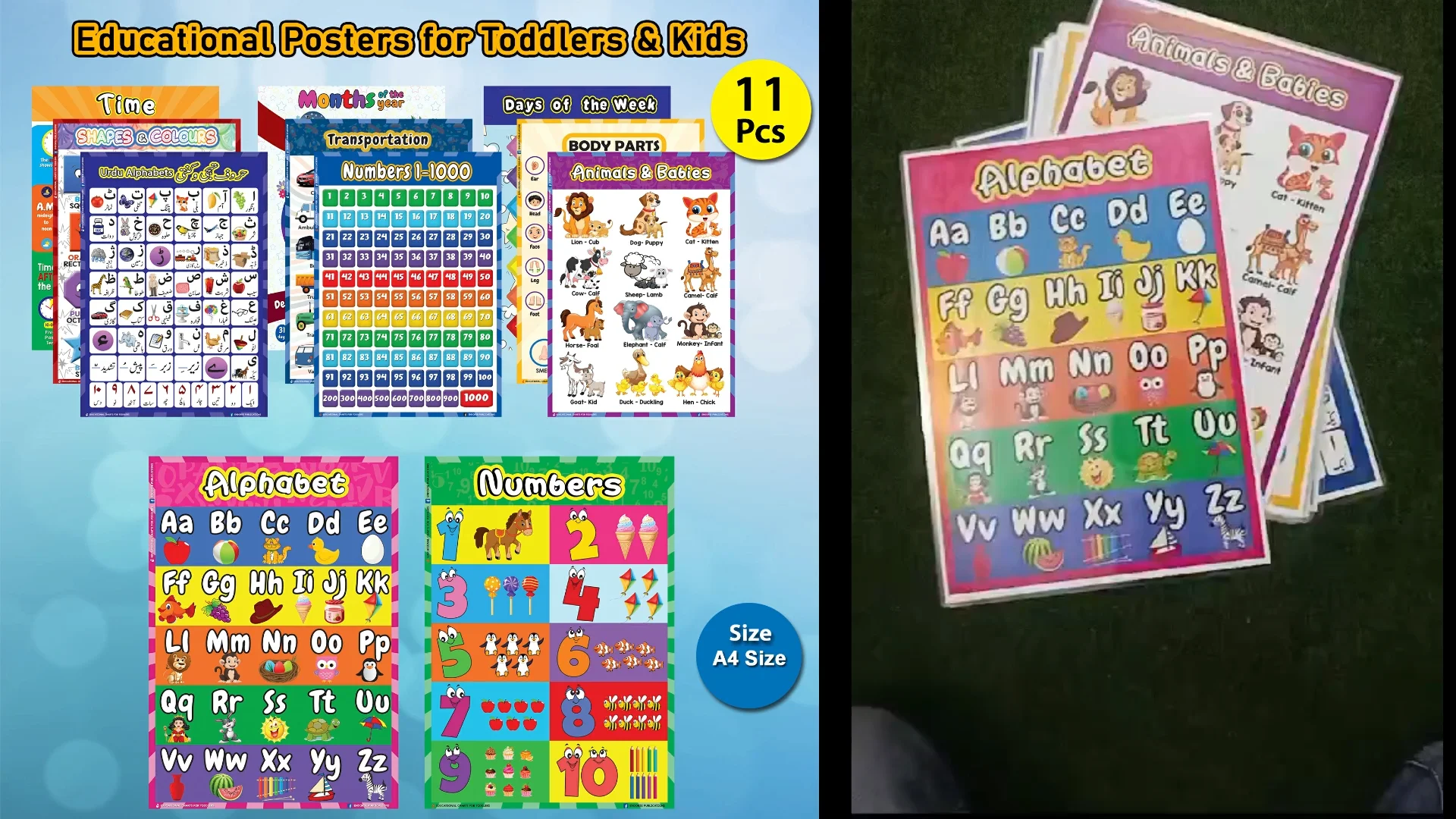 Educational Preschool Poster Learning Charts A4 size 11 pcs for Toddler ...