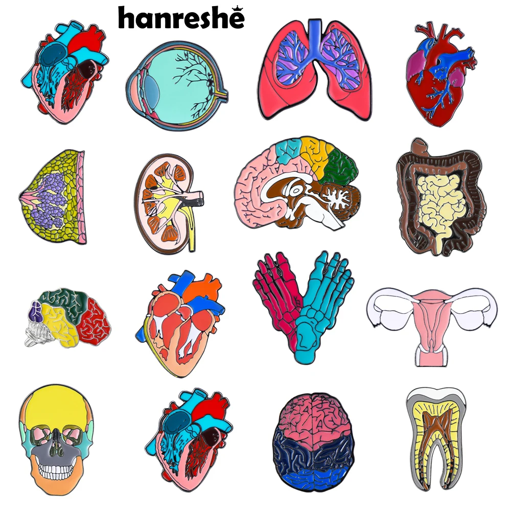 Hanrelhe-Classic-smalto-organo-spilla-Pin-anatomia-medica-rene-cervello ...
