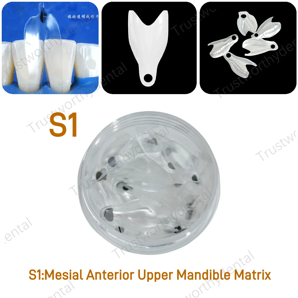 Dental-Transparent-Matrix-Clear-Anterior-Front-Teeth-Black-Triangle ...