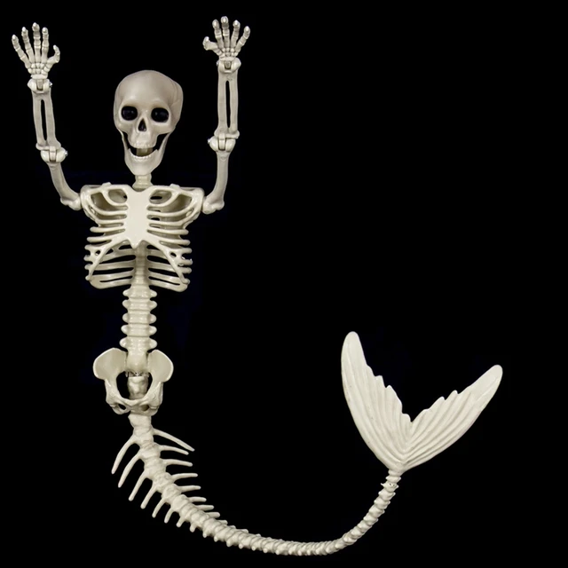 Mermaid Real Life Skeleton