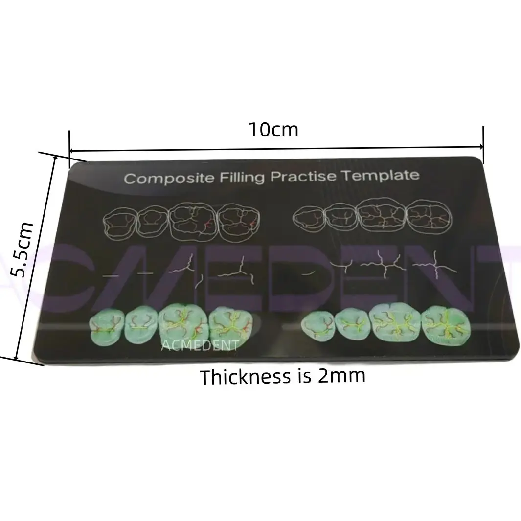 Dental-Teaching-Study-Composite-Resin-Filling-Template-Molar-Teeth ...
