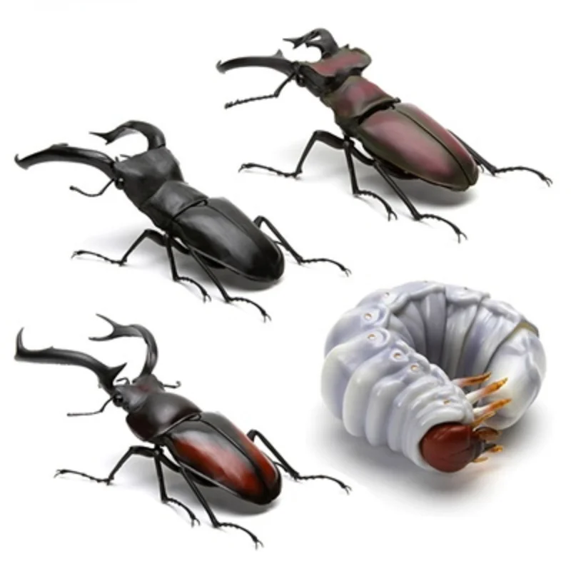 Original Gashapon Capsule Toys Insect Creature 02 Unicorn Beetle Stag ...