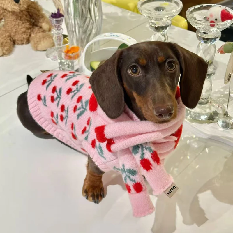 Sweet Clothing for Dachshund Dogs in Winter Pink Floral Sweater for ...