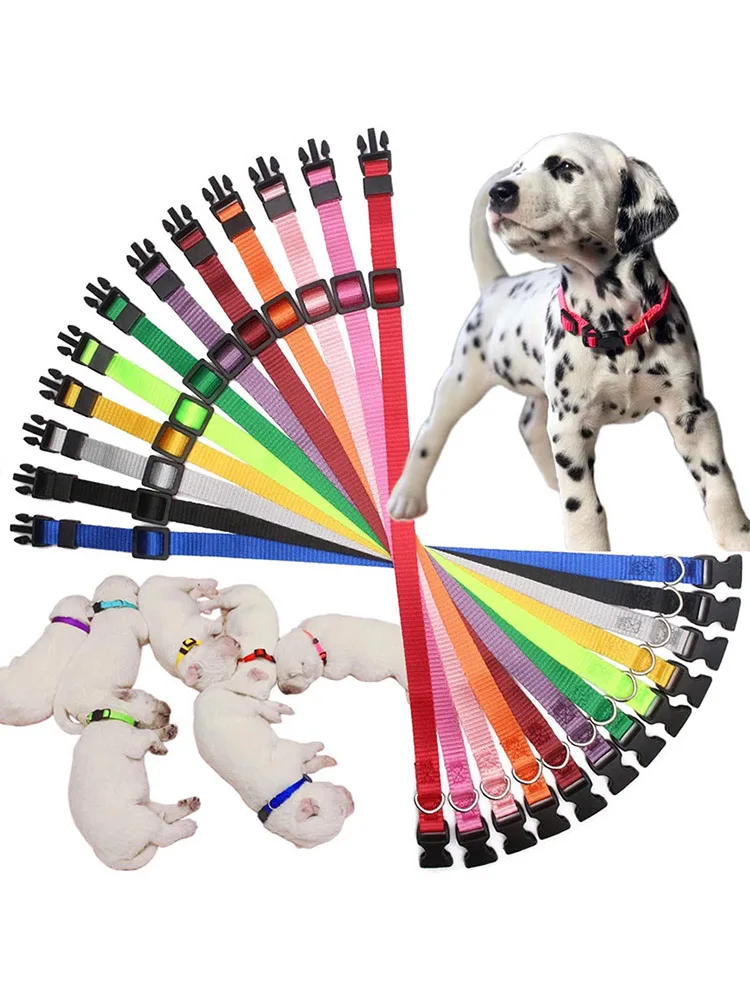 12-Pieces-set-Of-New-Nylon-Pet-Collars-With-Adjustable-Safety-Buckle ...