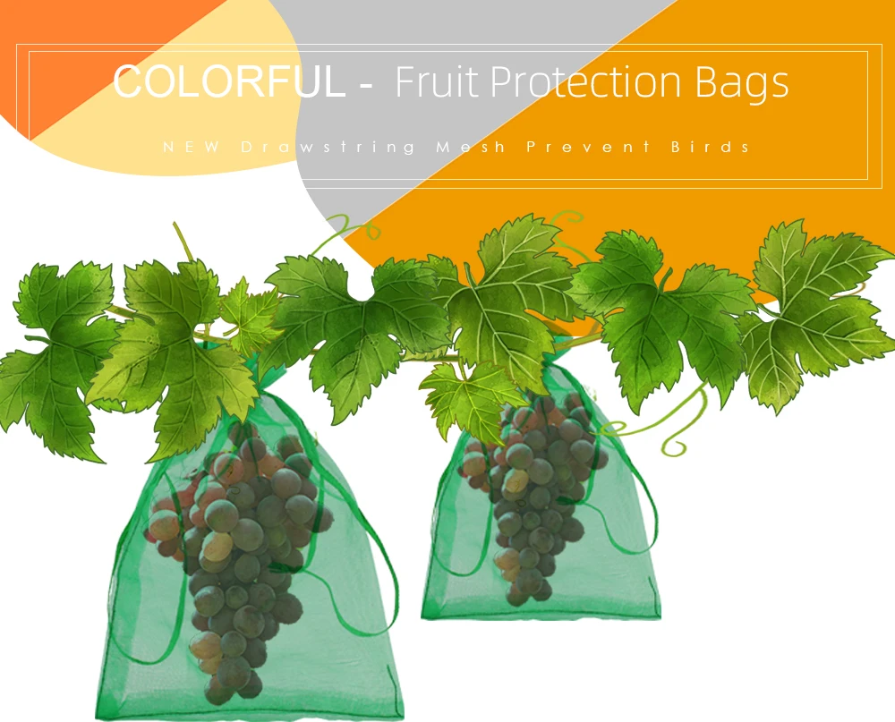 Type G-10-200PCS Grape Fruit Protection Bag Garden Guard Against Pest ...