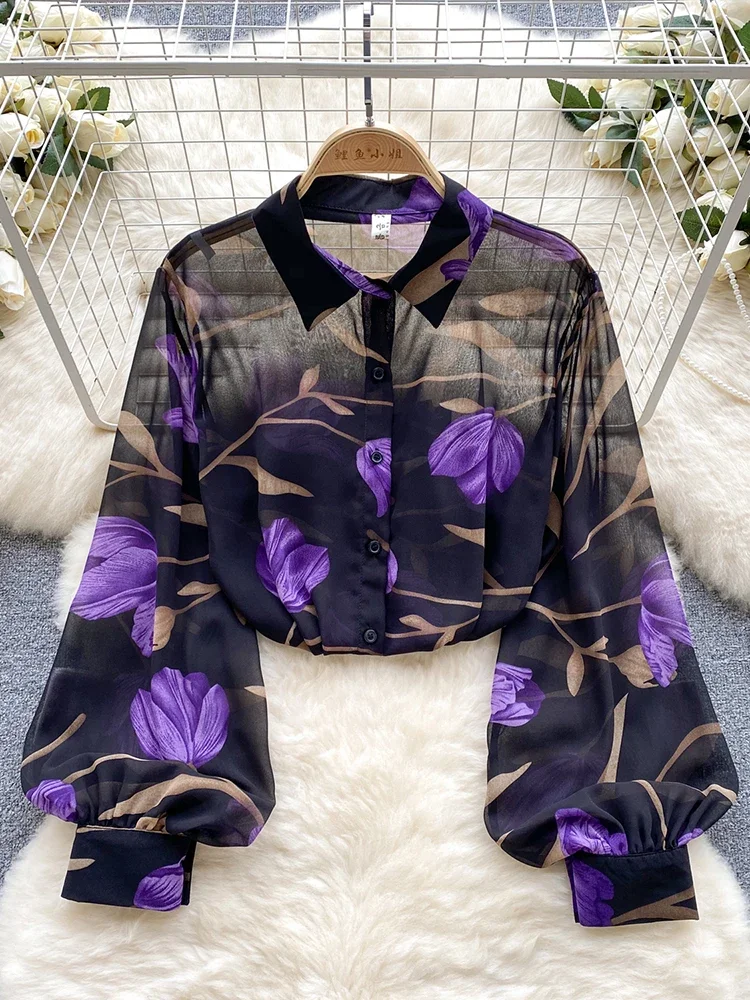 Spring Summer Women's Chiffon Printed Long Sleeved Blouse French ...