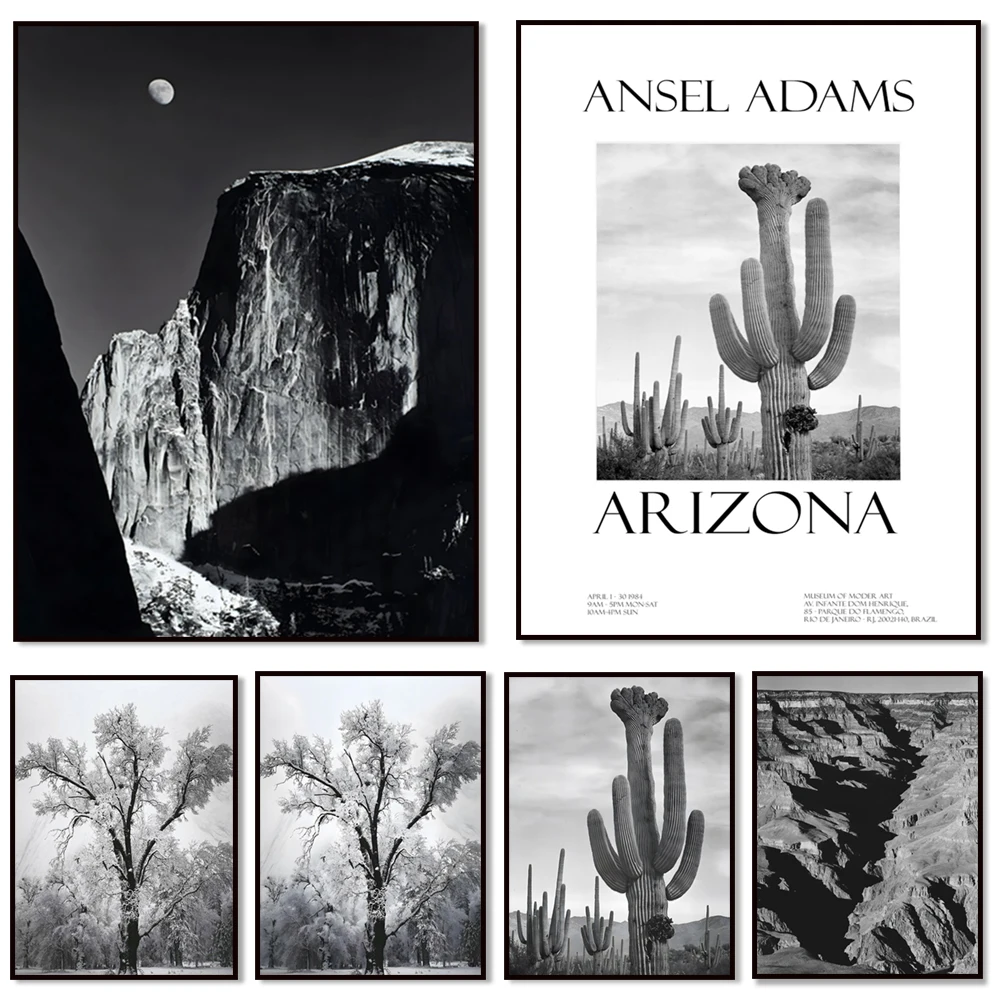 Ansel Adams Lithograph, Teton and Snake Rivers, Dogwood Flowers, Ansel ...