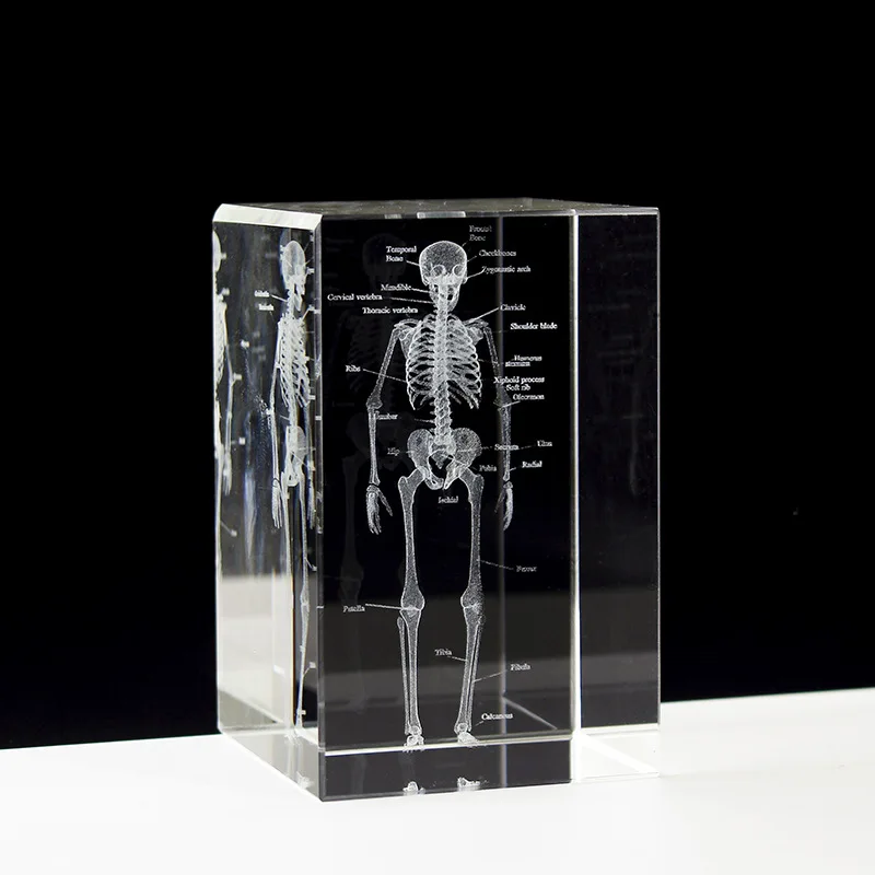 Crystal-3D-Laser-Engraved-Human-Anatomical-Skeleton-Cube-Model-Statue ...