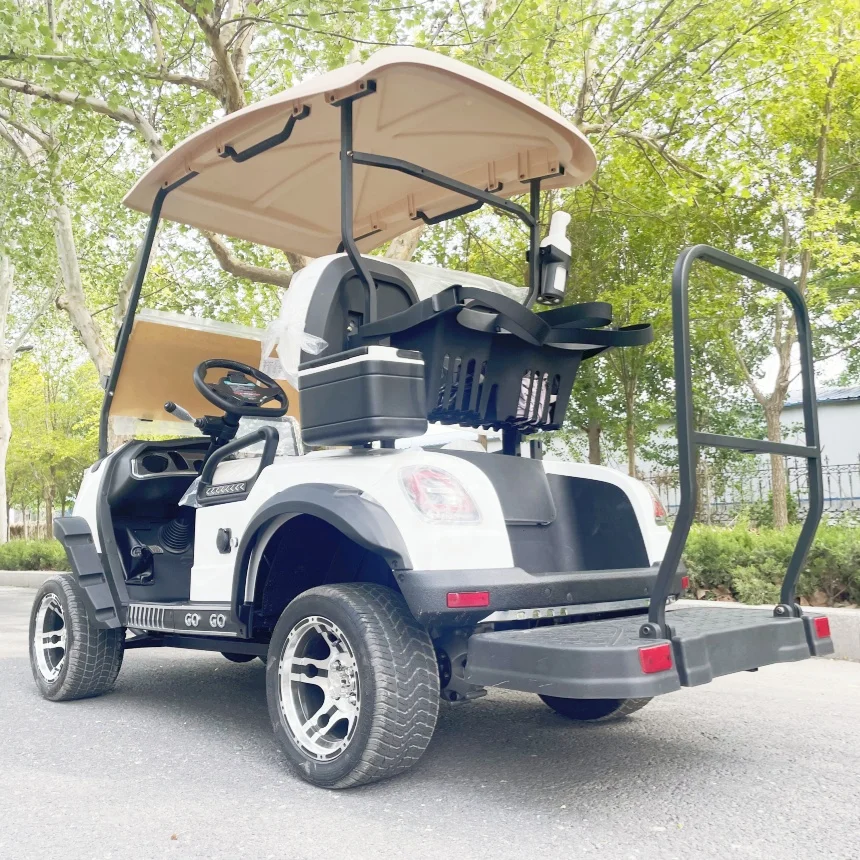 The Ultimate Guide to Golf Cart Conversion with a 4000W–7000W Lithium ...