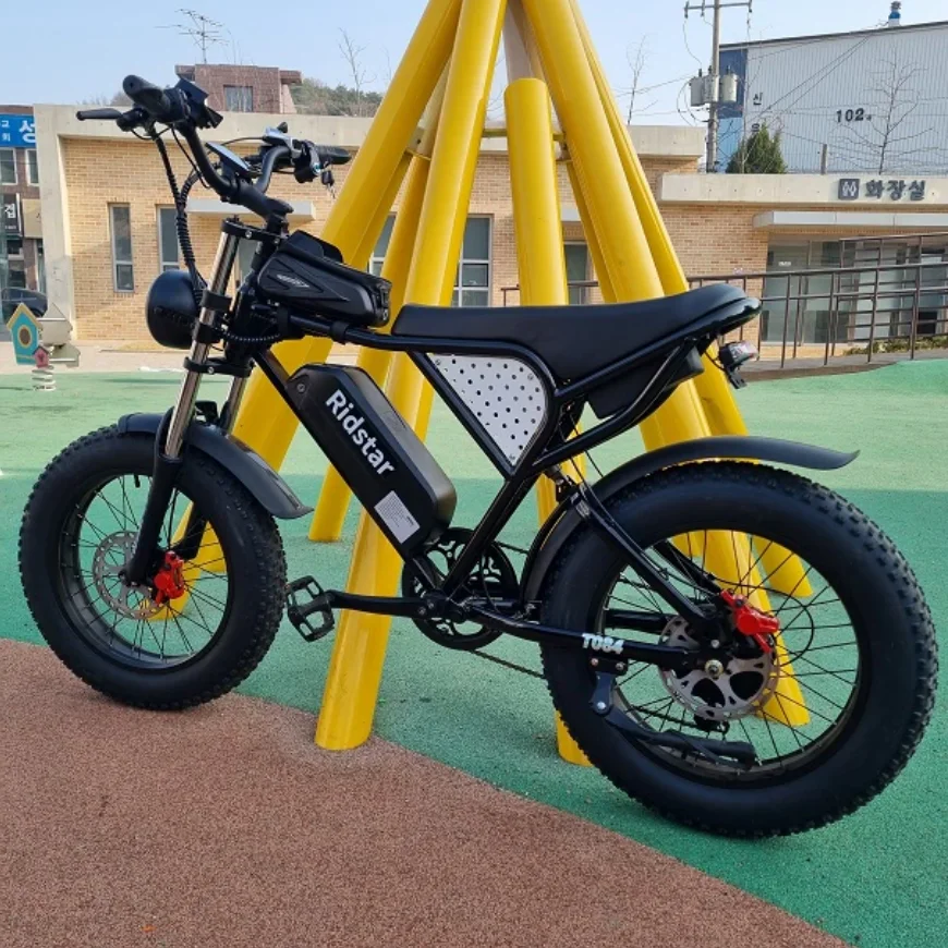 EU-stock-Q20-Electric-Bike-1000W-48V-20AH-Waterproof-Red-oil-brake ...