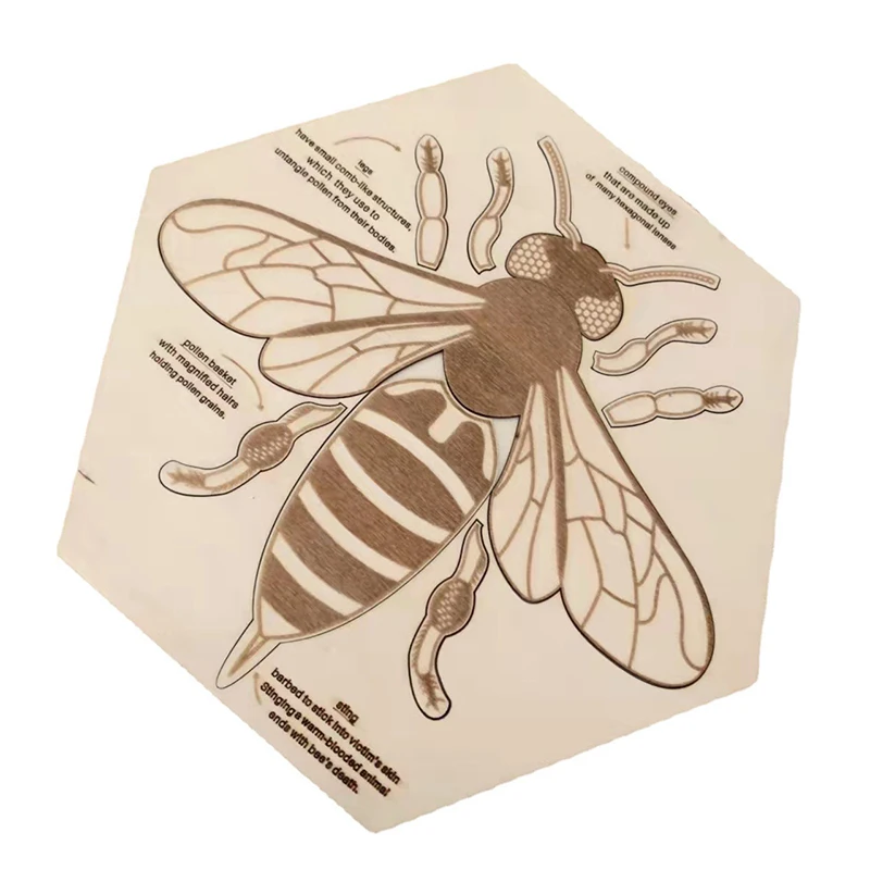 Montessori Bees Wooden Puzzles Toys Biological Science Teaching Aids ...