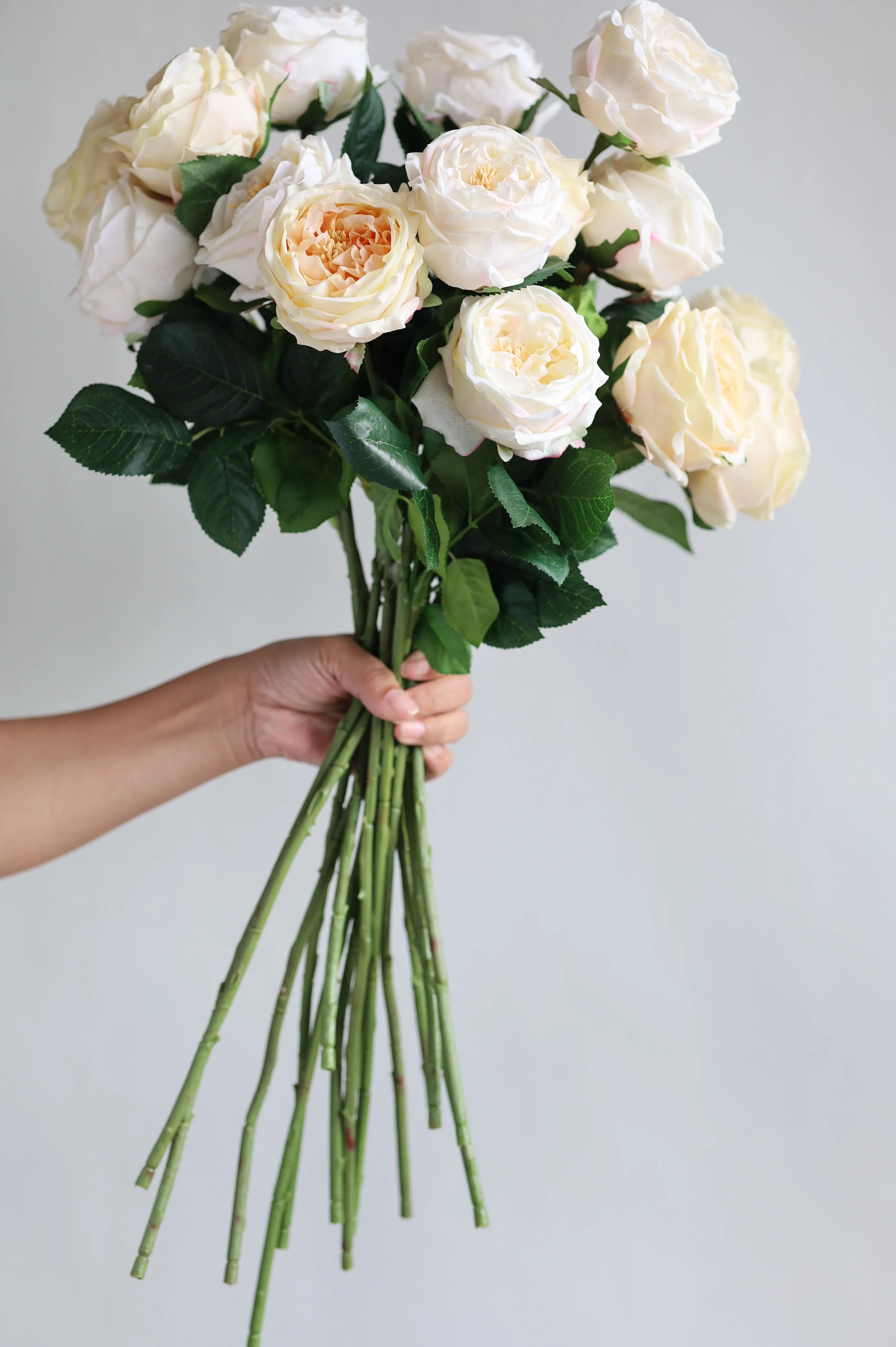 Cabbage Rose Bouquet