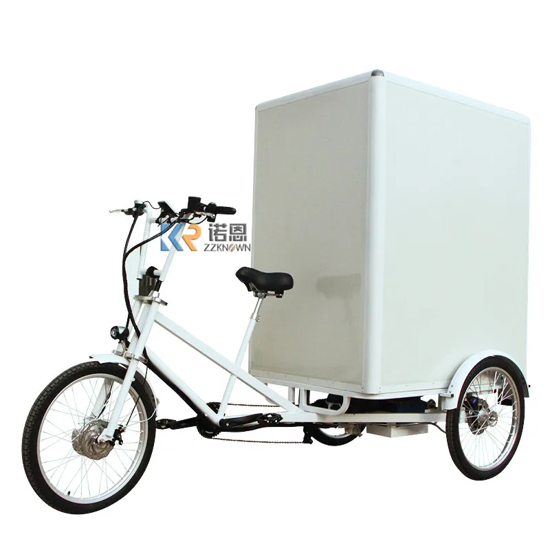 Electric Cargo Trike