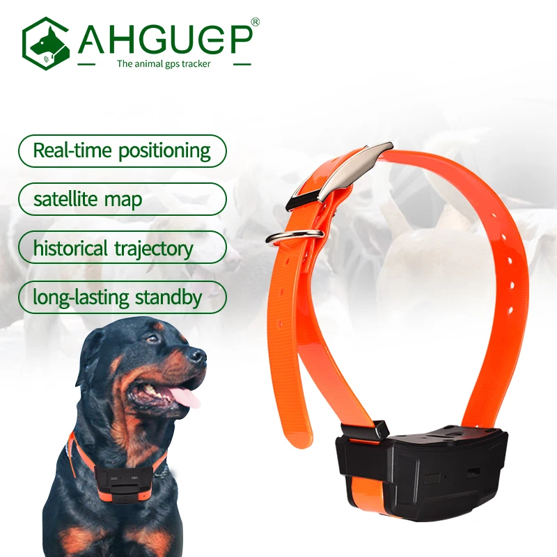 AHGUEP 4G GPS Dog Tracker Collar Waterproof Hunting Gear with Training ...