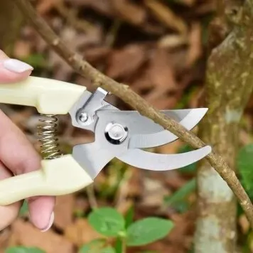 Shop1102989429 Store