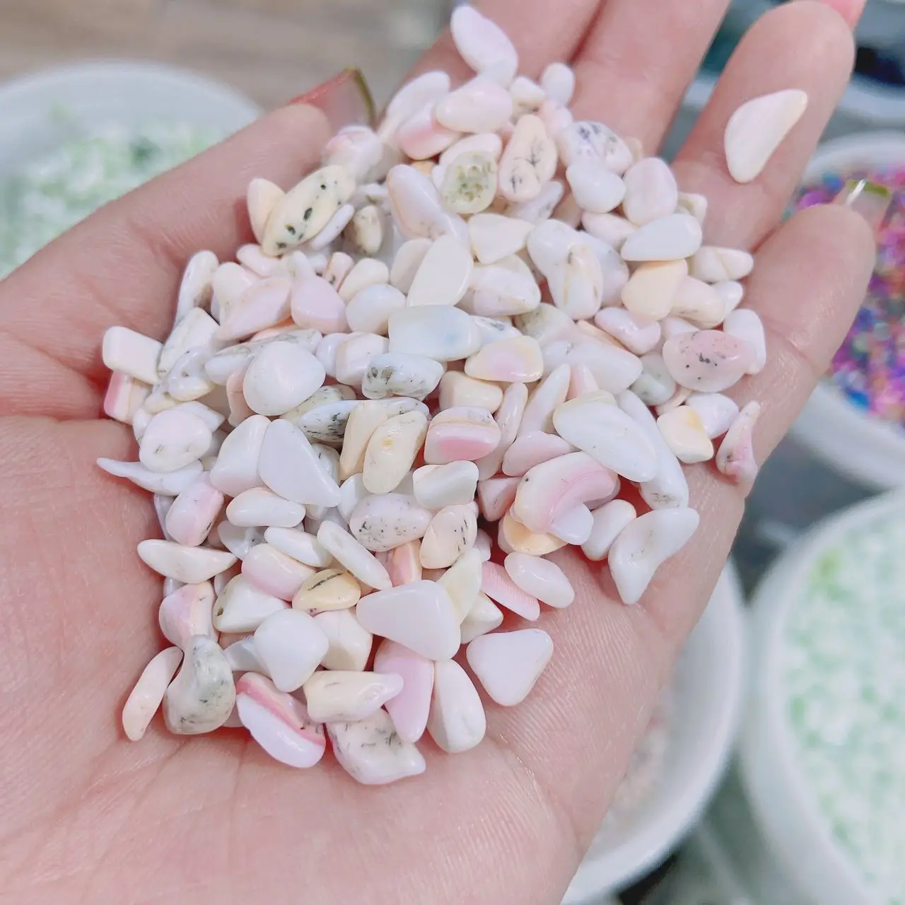 Natural-Bahama-Queen-Conch-Shell-gravel-Pink-Conch-Shell-for-Aquarium ...