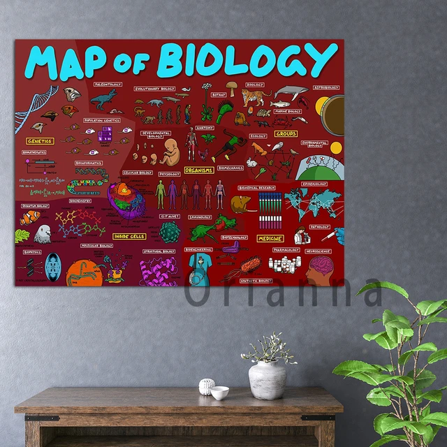 Biology Classroom Decorations