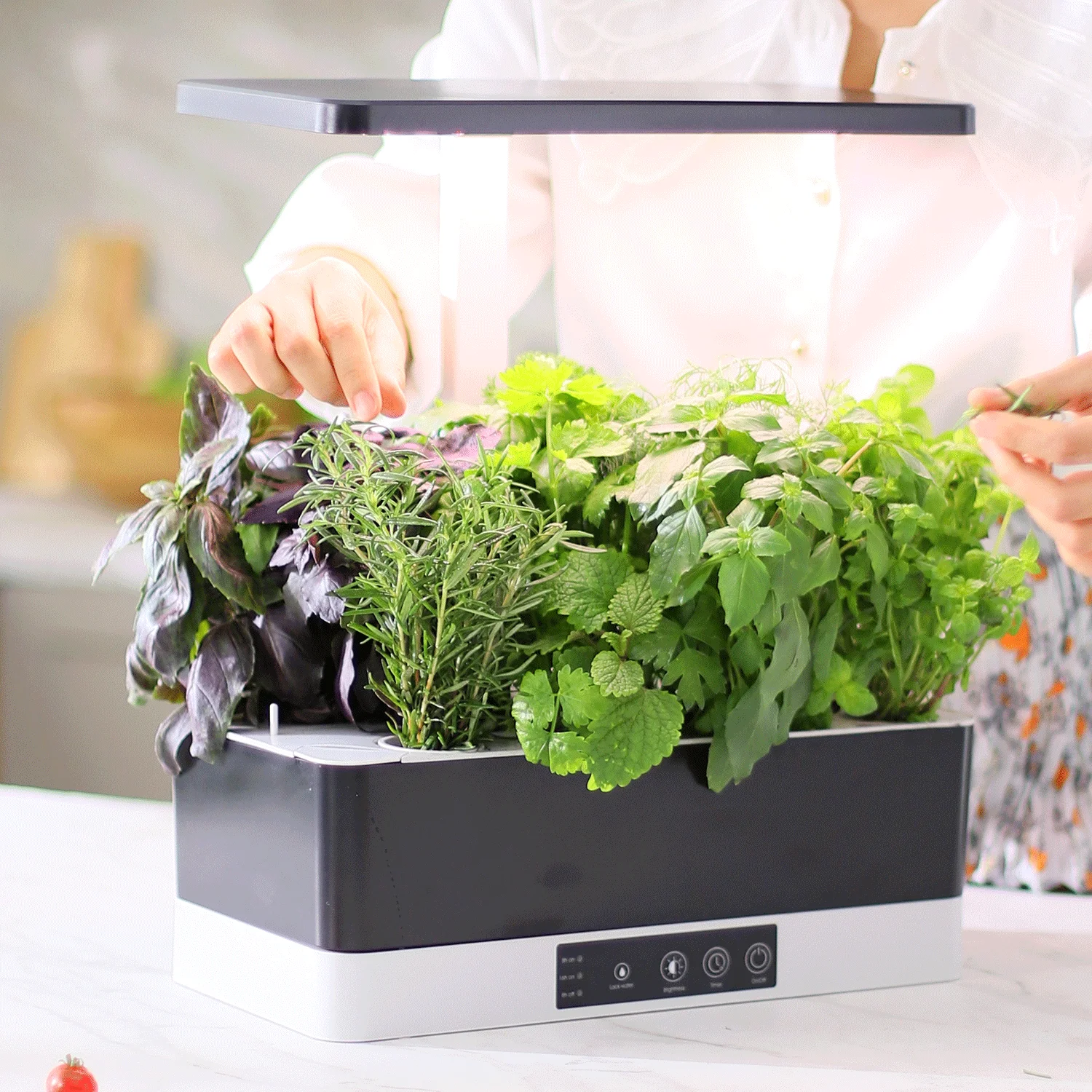 Indoor Vegetable Garden Kit