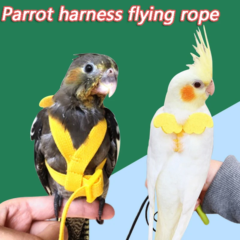 Bird Harness And Leash