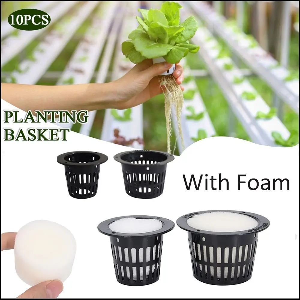 Aeroponic-Germinate-Hydroponic-Plant-Grow-Garden-Clone-Foam-Insert ...