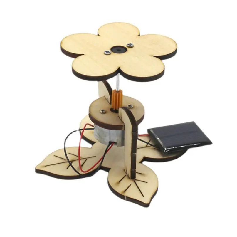 3d Flower Model Science Project