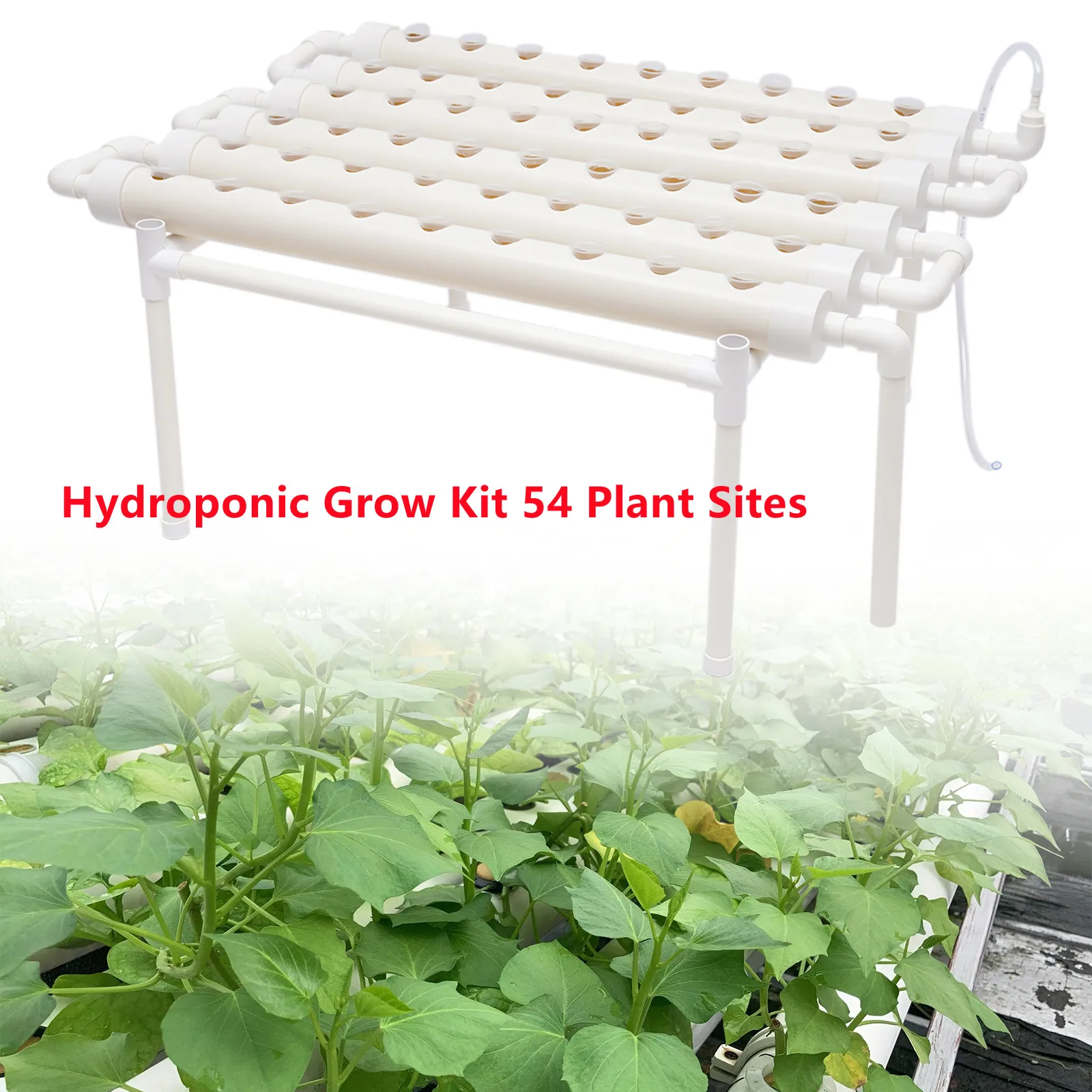 Hydroponic-System-Grow-Set-36-54-Plant-Sites-1-Layer-Plant-Vegetable ...