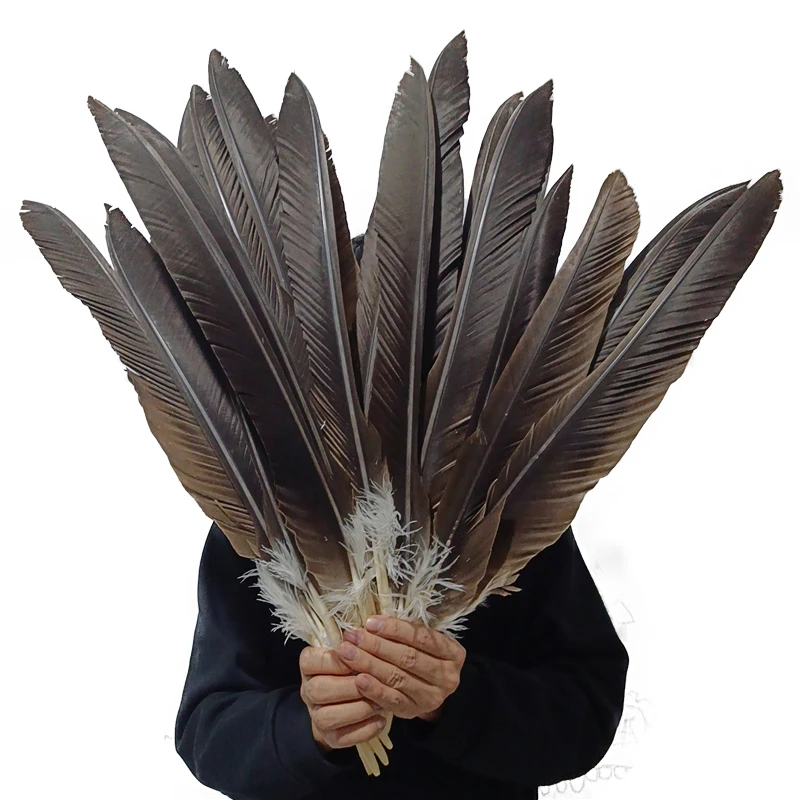 Signification Des Plumes D'aigle Indien LISYANG Lot De 10 Plumes