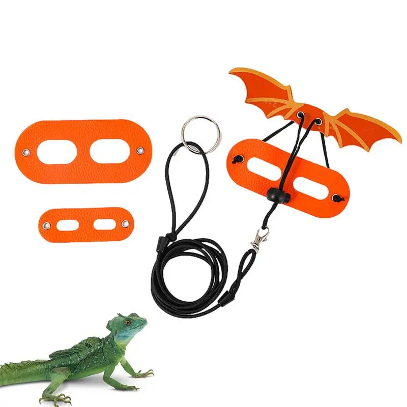 Monitor Lizard on Leash: The Complete Guide to Safe, Practical Outdoor ...