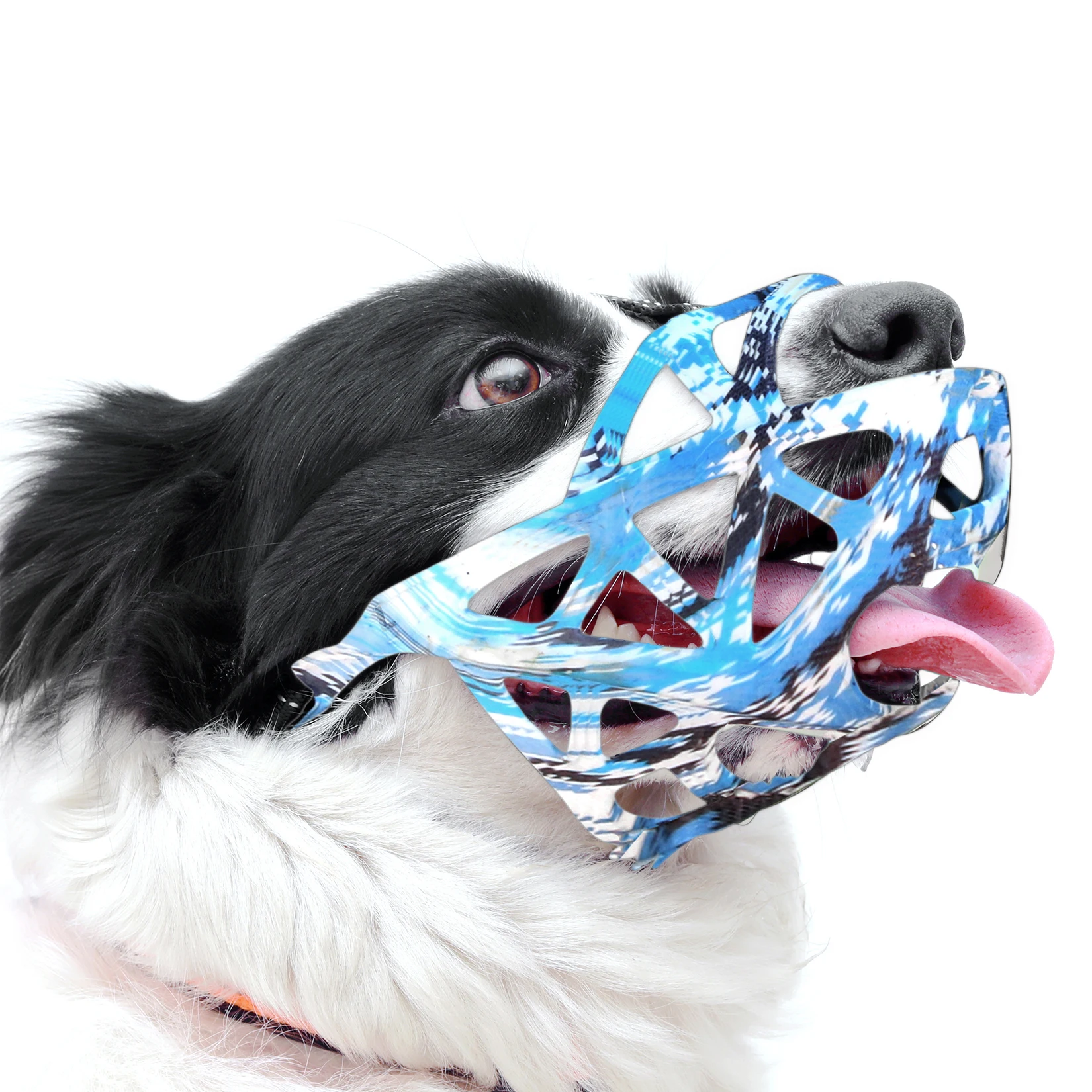 Muzzle To Stop Eating | ppgbbe.intranet.biologia.ufrj.br