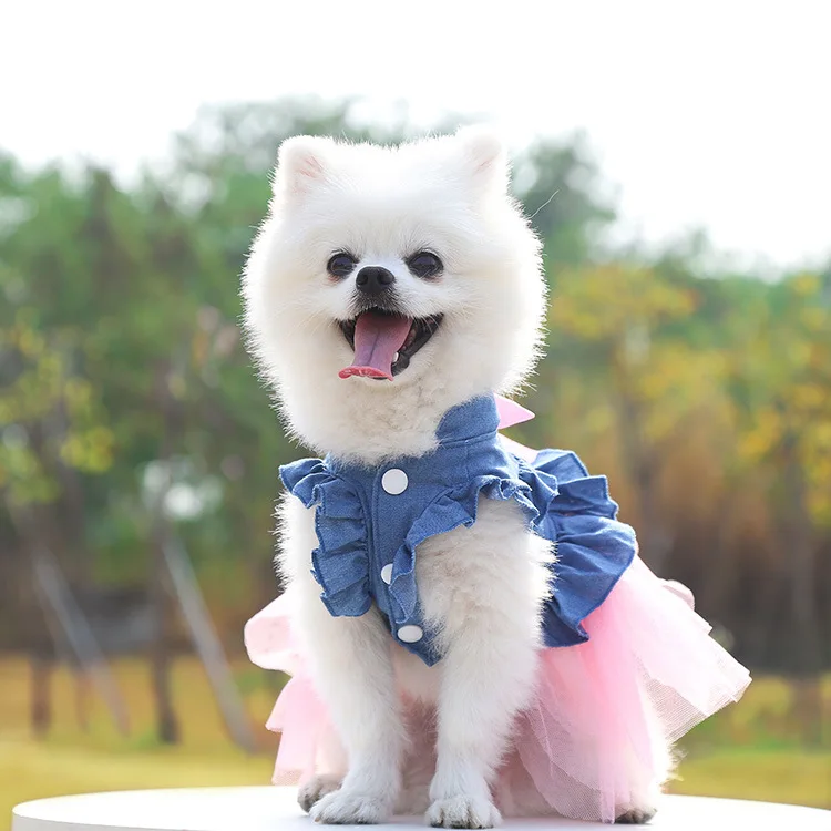 Sweet Princess Dress For Cute Dogs – DogMega.Com