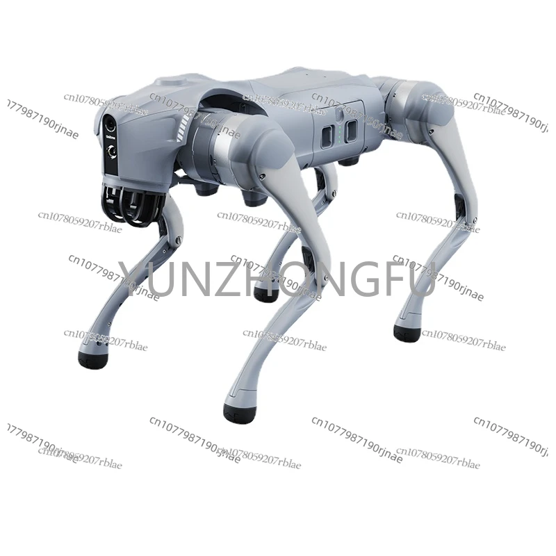 Go2-Robot-de-extremidades-para-perros-y-adultos-dispositivo-con ...