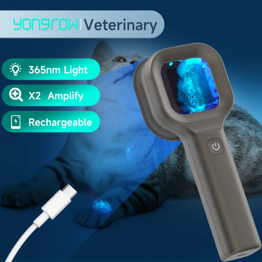 Gato-Micose-Pele-Detec-o-Woods-Lamp-Exame-Da-Pele-Detector-De-Fungos ...