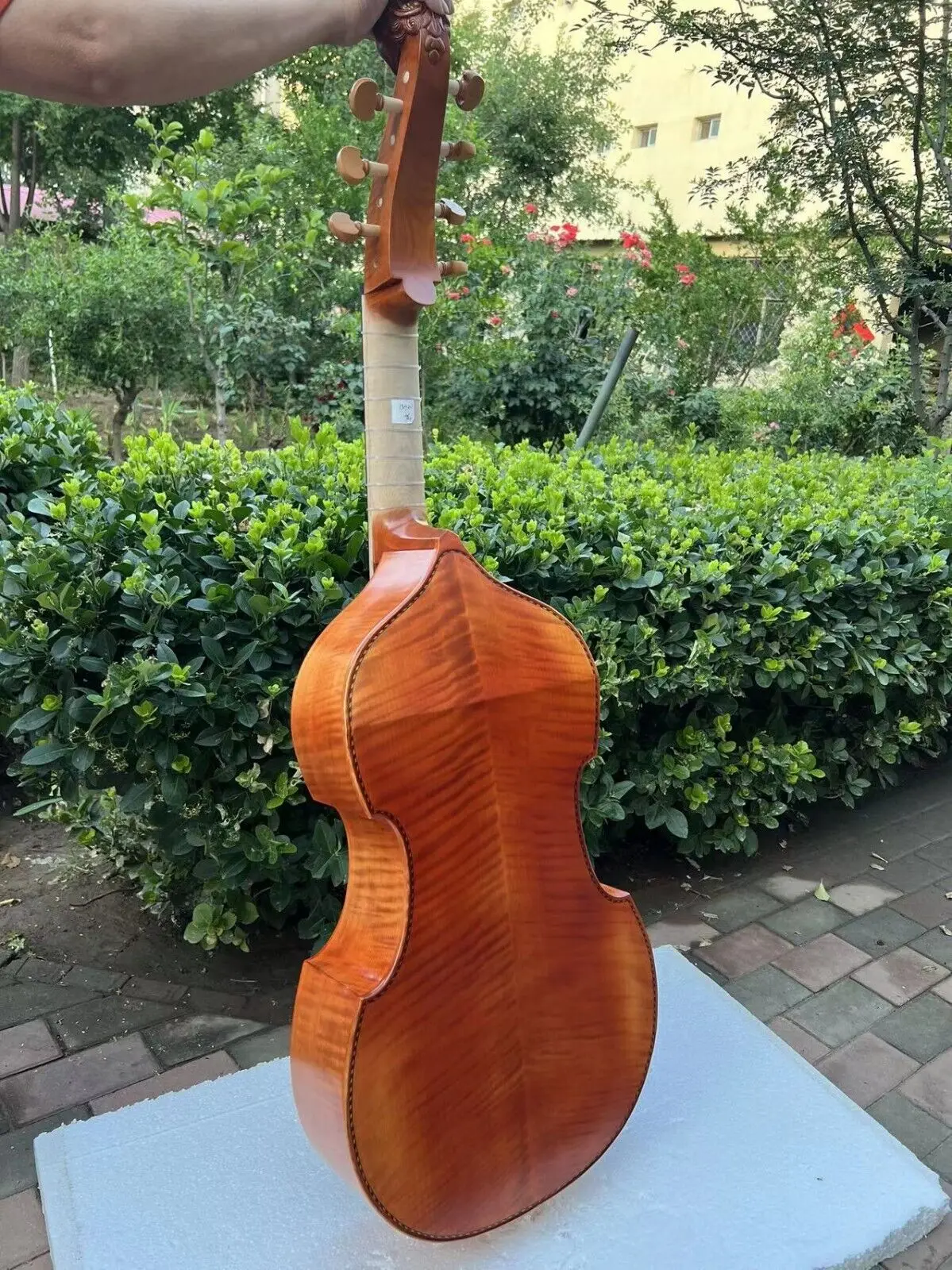 Baroque-Style-SONG-Maestro-7-strings-29-viola-da-gamba-flames-maple ...