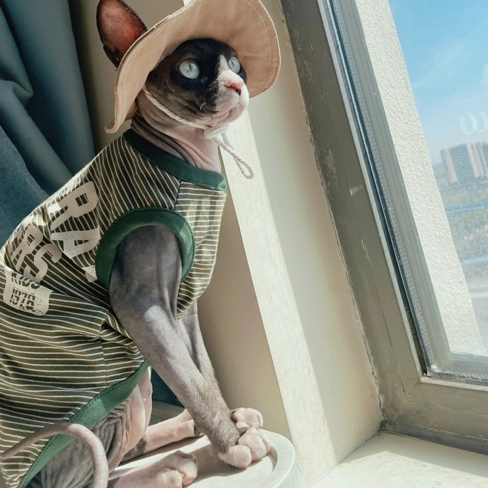 Cotton T-shirt for Sphynx Cat Summer Fashion Striped Letter Sleeveless ...