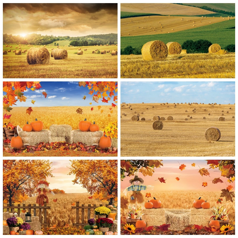 Autumn-Sunshine-Wheat-Fields-Backdrop-for-Photography-Fall-Farm-Harvest ...