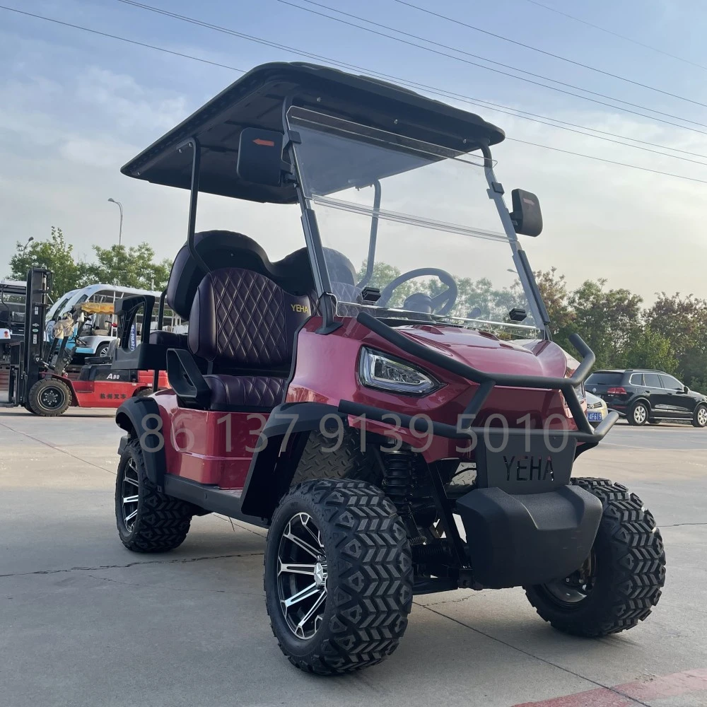 New Four-seater Off-road Sightseeing Car Independent Suspension 5000w ...