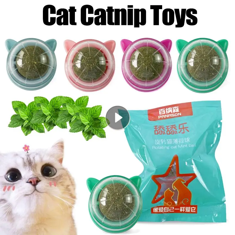 Cat-Catnip-Ball-Cat-Candy-Licking-Snacks-Catnip-Snack-Nutrition-Energy-Ball-Wall-Stick-on-Ball.jpg