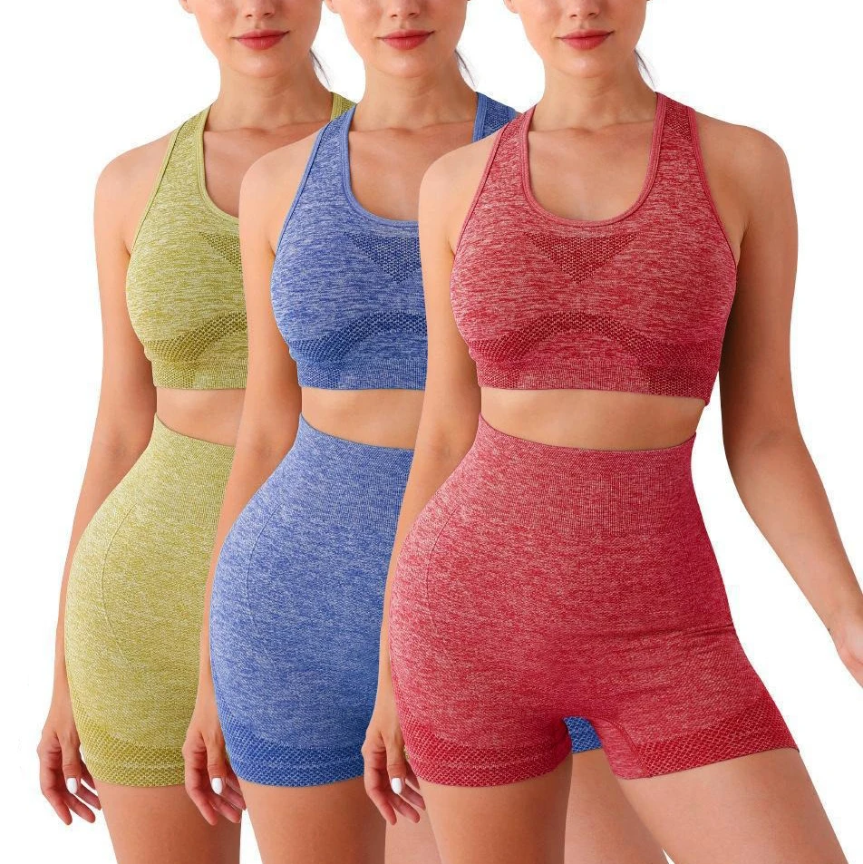 2PCS-Seamless-Yoga-Set-Women-Shockproof-Sports-Bra-High-Waist-Yoga-Shorts-Sports-Suit-Quick ...